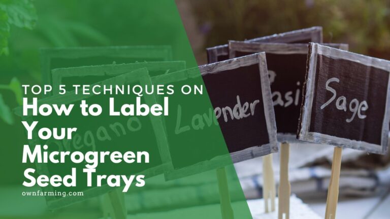 Top 5 Techniques On How To Label Your Microgreen Seed Trays